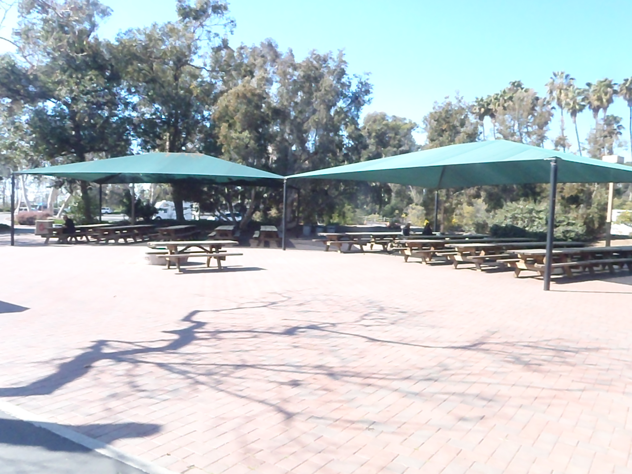 Picnic Area A & B Photos – Doheny State Beach Foundation