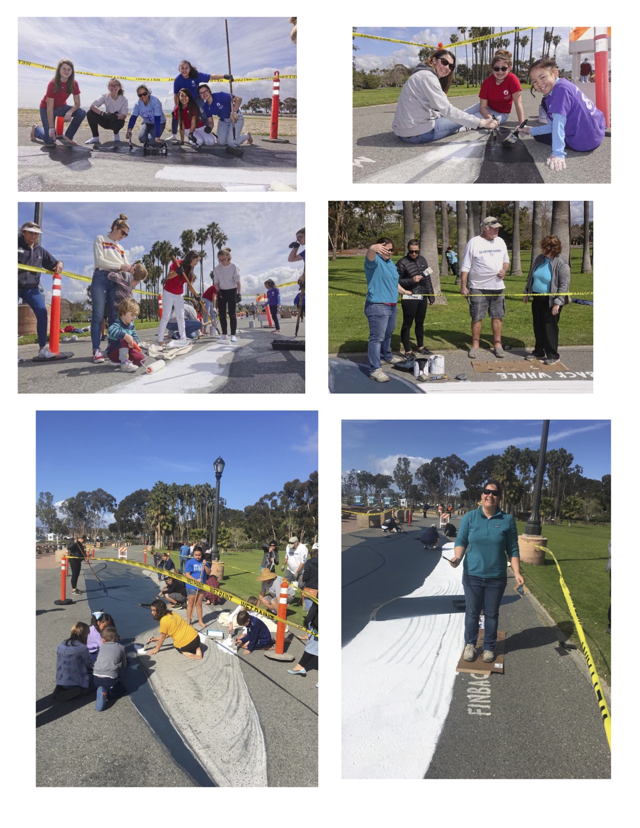 Doheny Whale Walk – Doheny State Beach Foundation