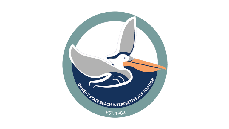 Doheny State Beach Foundation